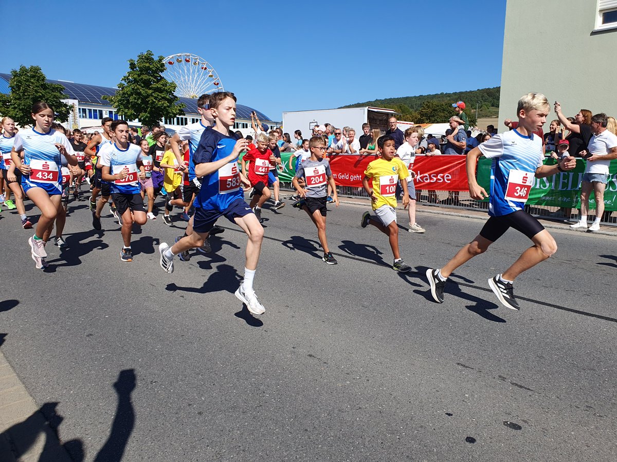 Schulpokal für das MSG: Martin-Schleyer-Gymnasium Lauda-Königshofen